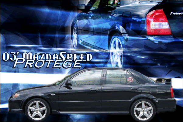 MSP Customize Flyers | Mazdas247